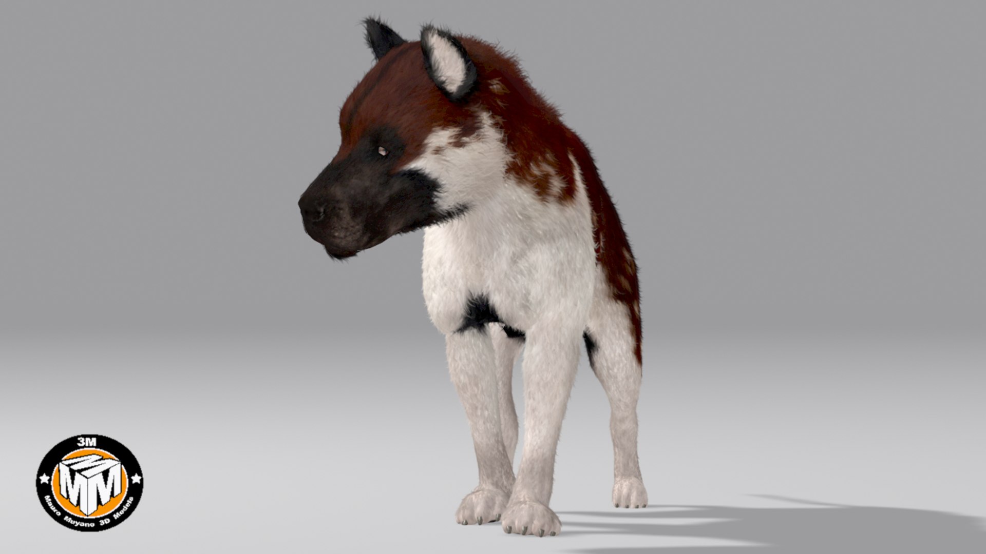 3D Protocyon Extinct Canid - TurboSquid 1277365
