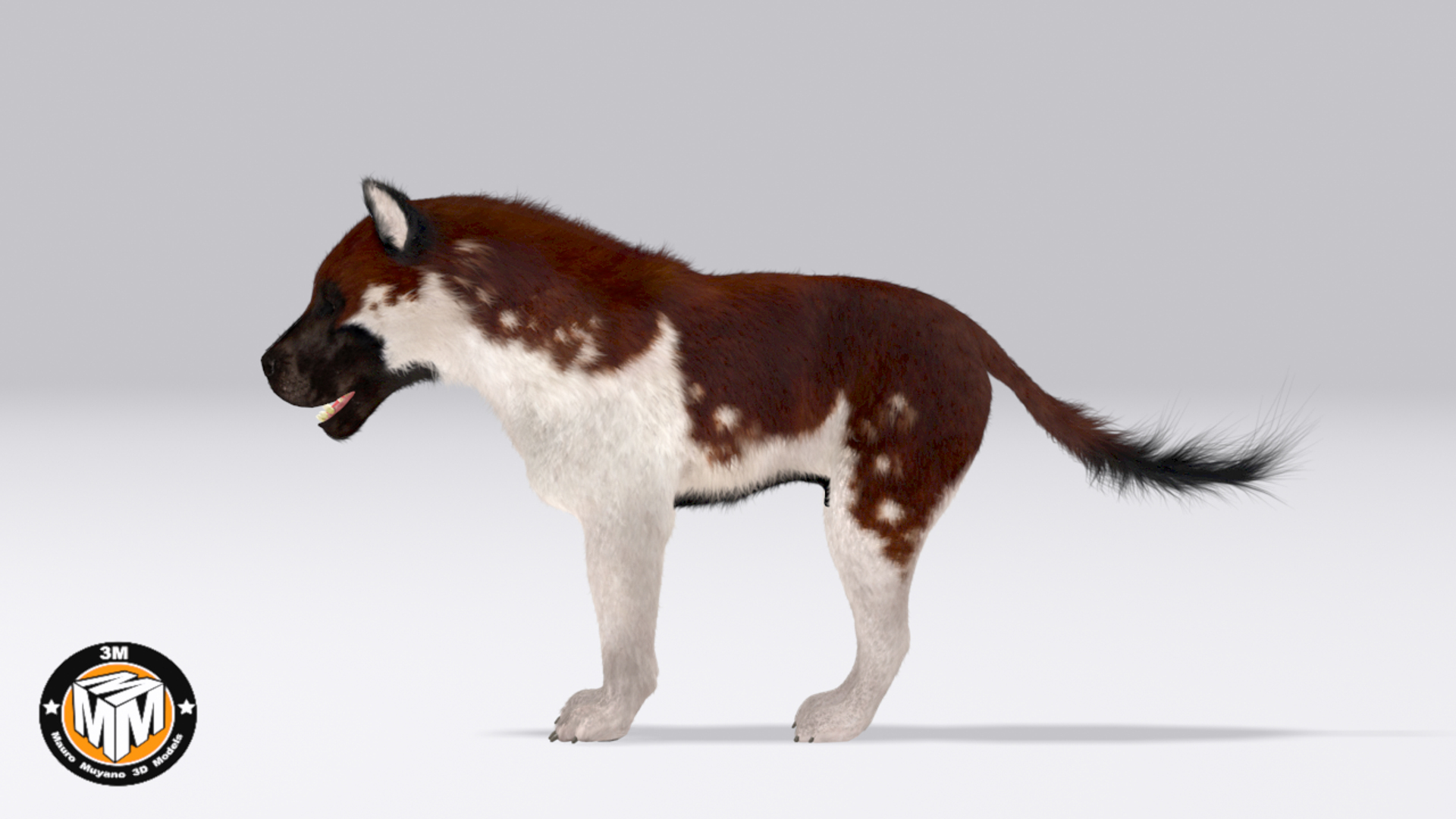 3D Protocyon Extinct Canid - TurboSquid 1277365