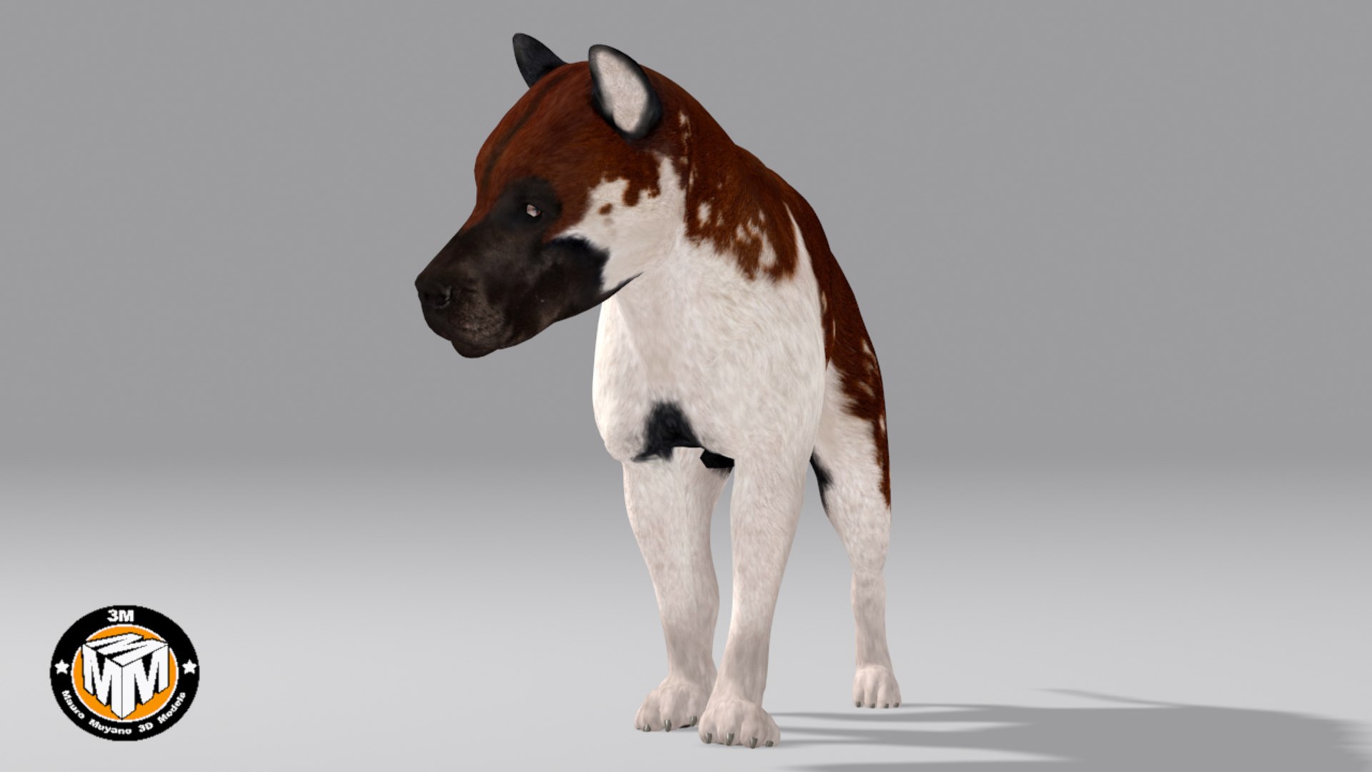 3D Protocyon Extinct Canid - TurboSquid 1277365