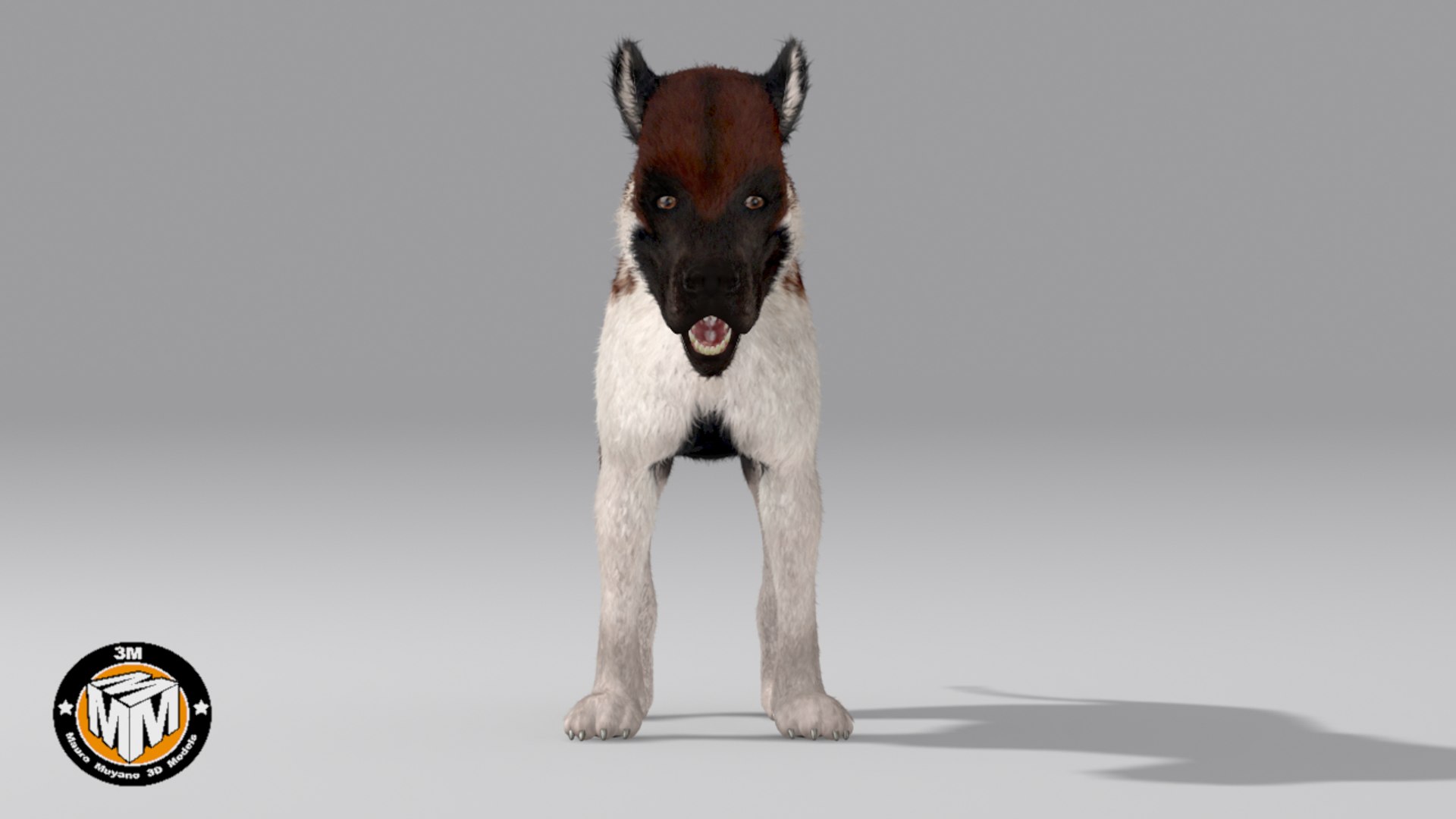 3D Protocyon Extinct Canid - TurboSquid 1277365