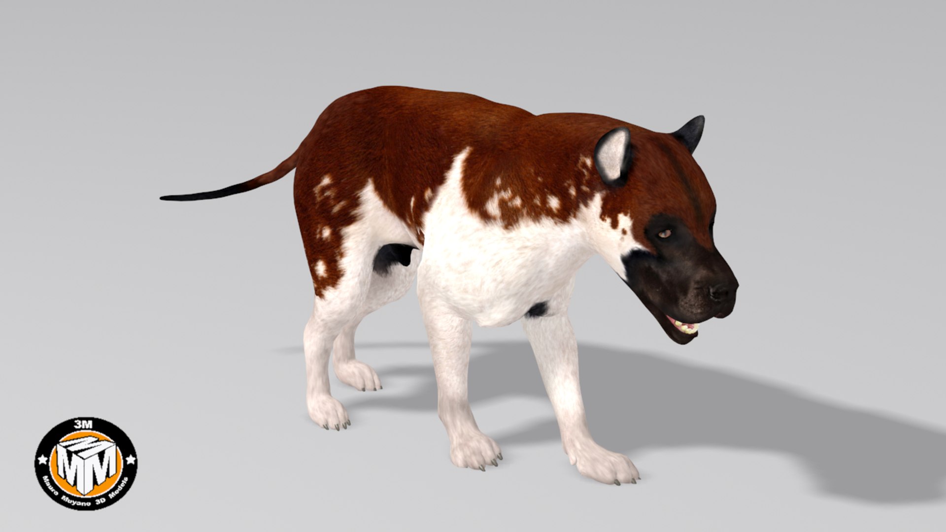 3D Protocyon Extinct Canid - TurboSquid 1277365