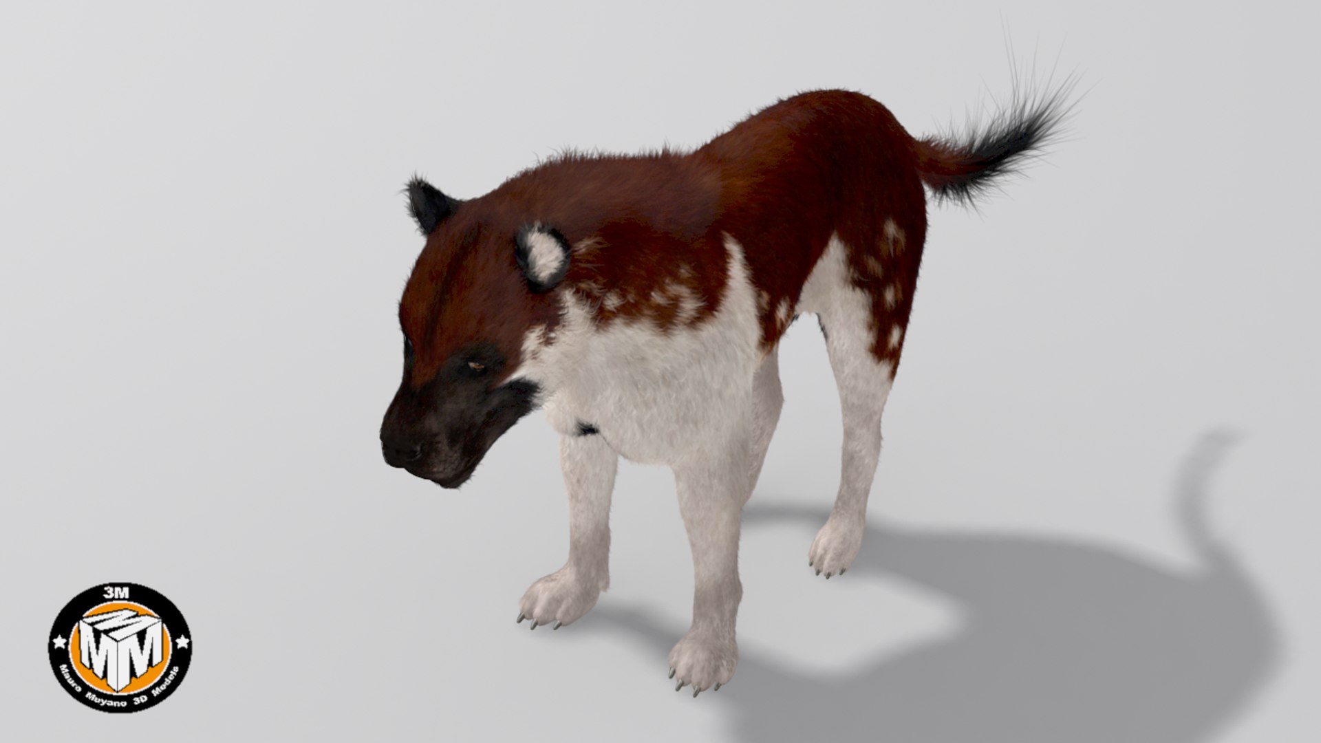 3D Protocyon Extinct Canid - TurboSquid 1277365