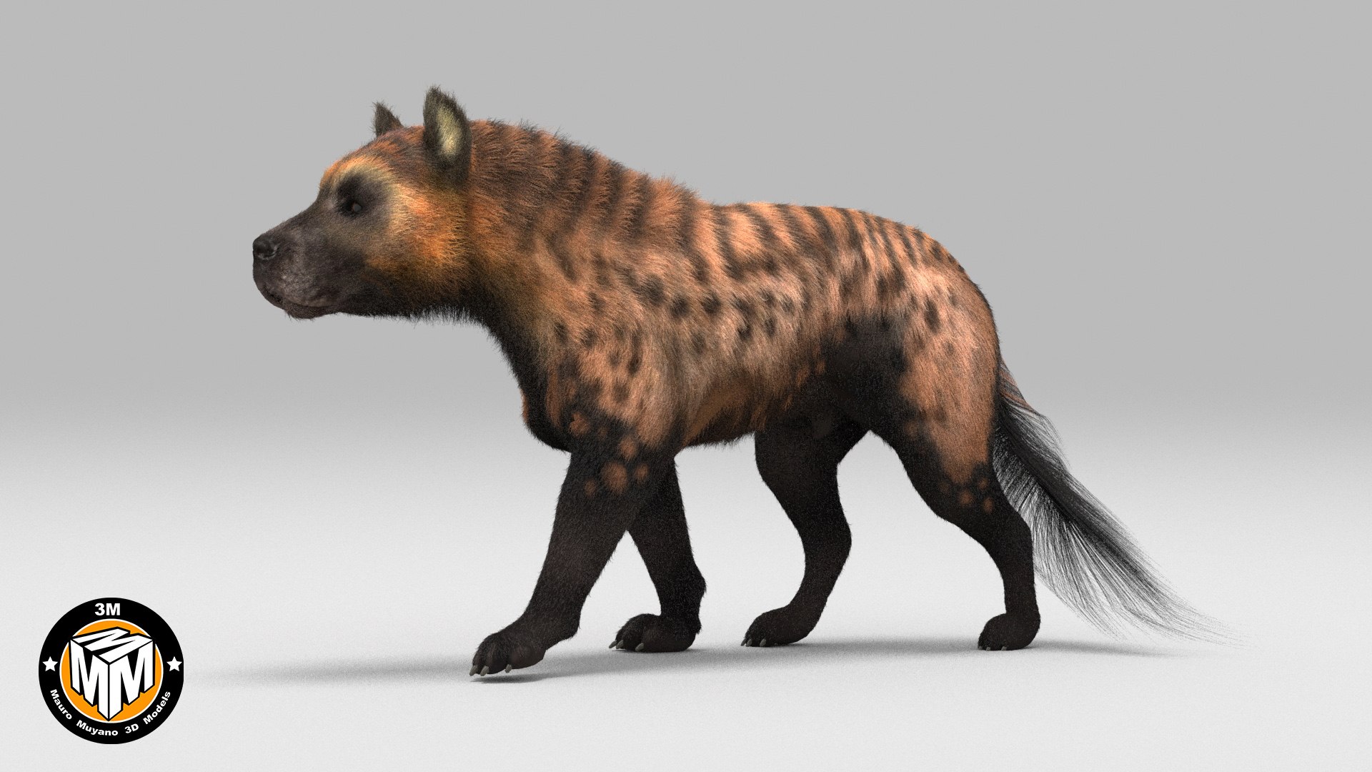 3D Protocyon Extinct Canid - TurboSquid 1277365