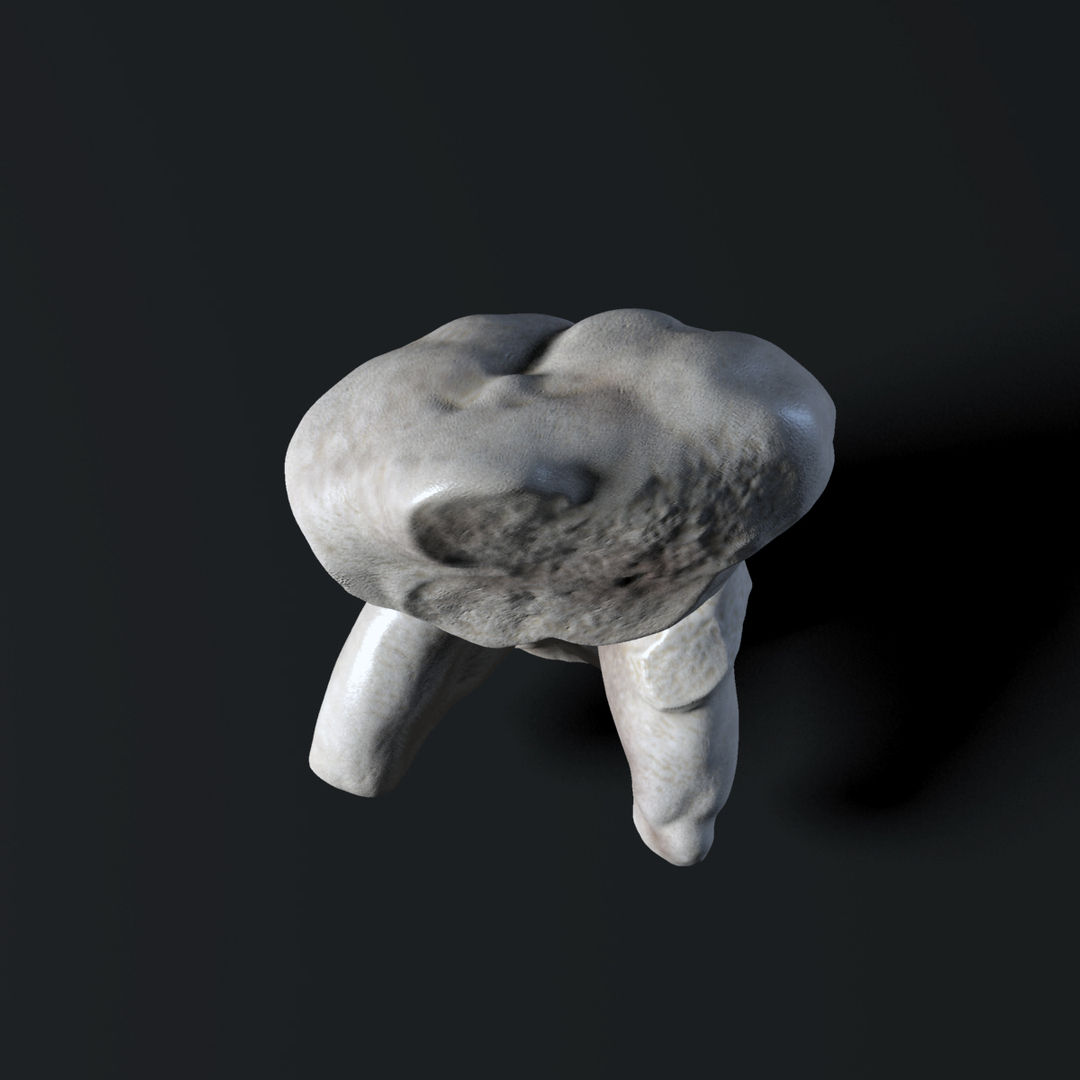 3d model of belvedere torso sculpture