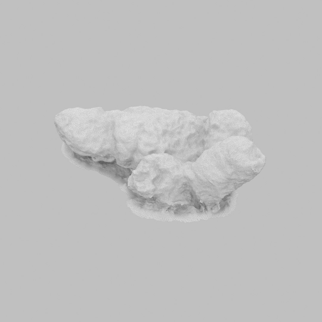 Poop Poo Dog 3D Model - TurboSquid 1371860