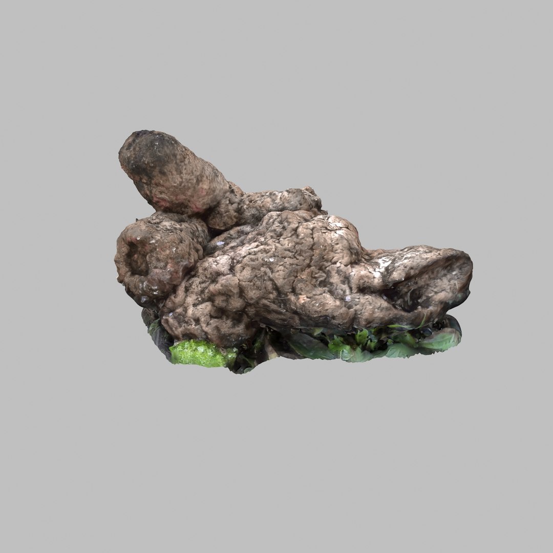 Poop Poo Dog 3D Model - TurboSquid 1371860