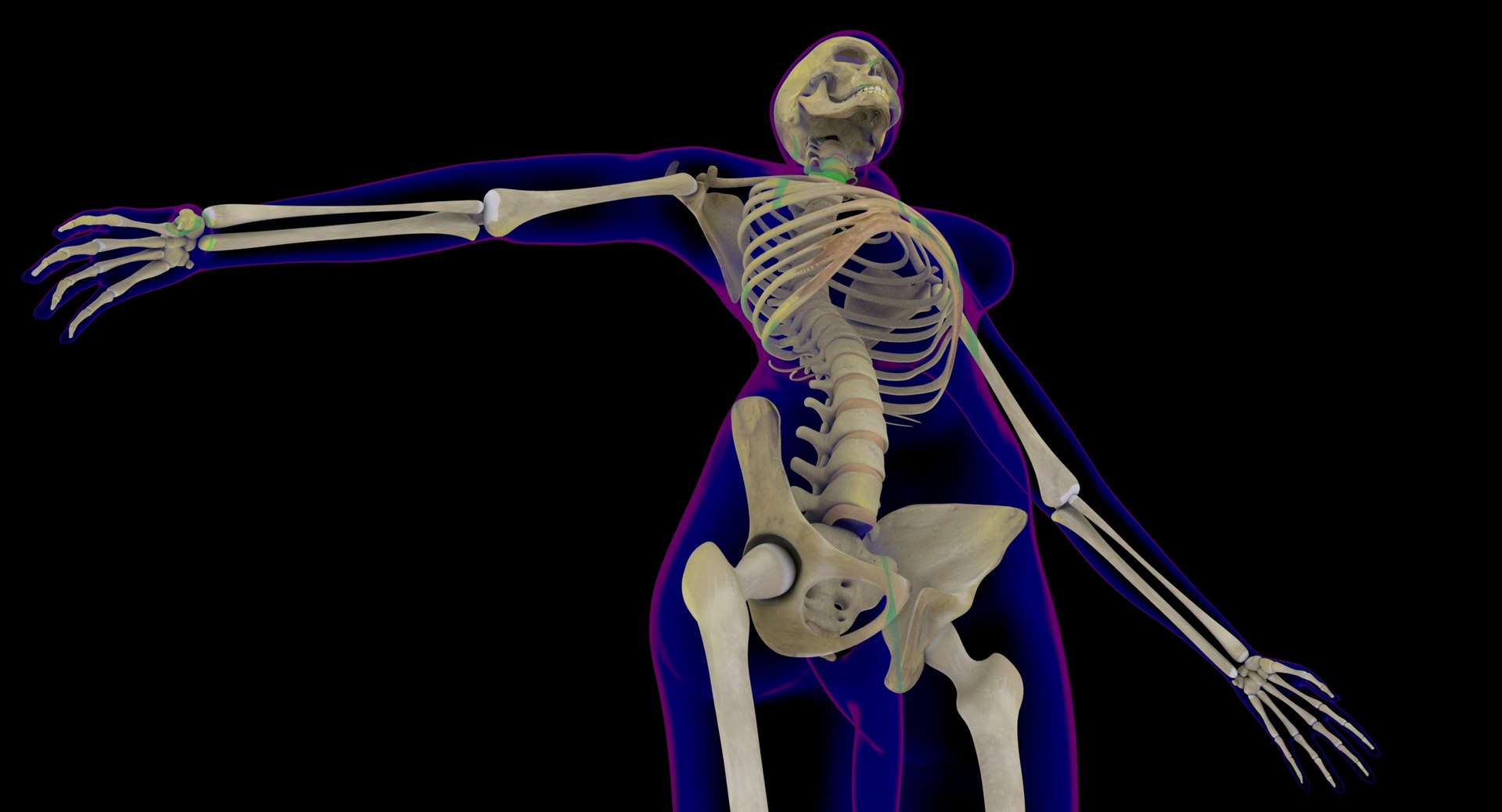 ma skeleton rigged combo