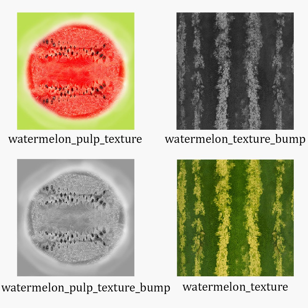 3d Model Watermelon Melon