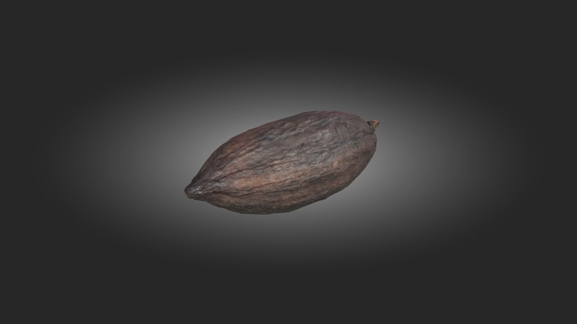 Cocoa Bean PBR 3D Model 3D Model - TurboSquid 2316998