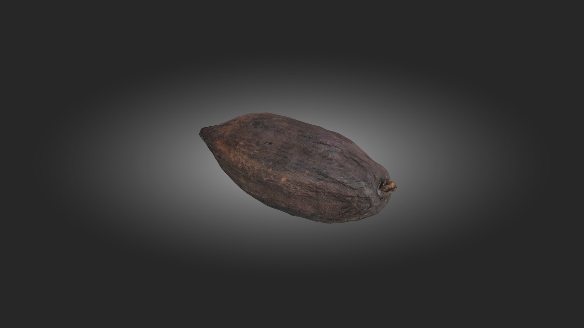 Cocoa Bean PBR 3D Model 3D Model - TurboSquid 2316998