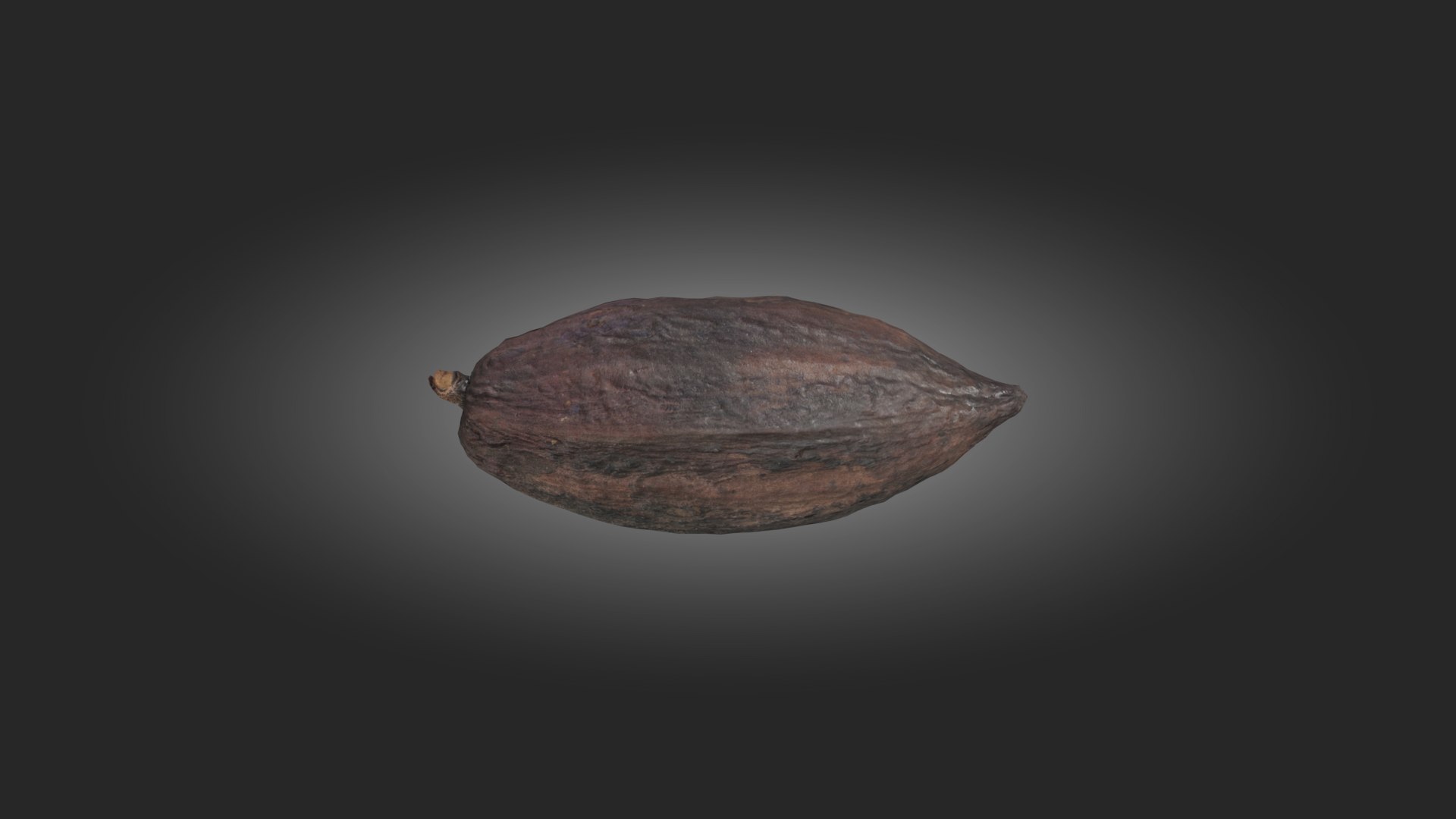Cocoa Bean PBR 3D Model 3D Model - TurboSquid 2316998