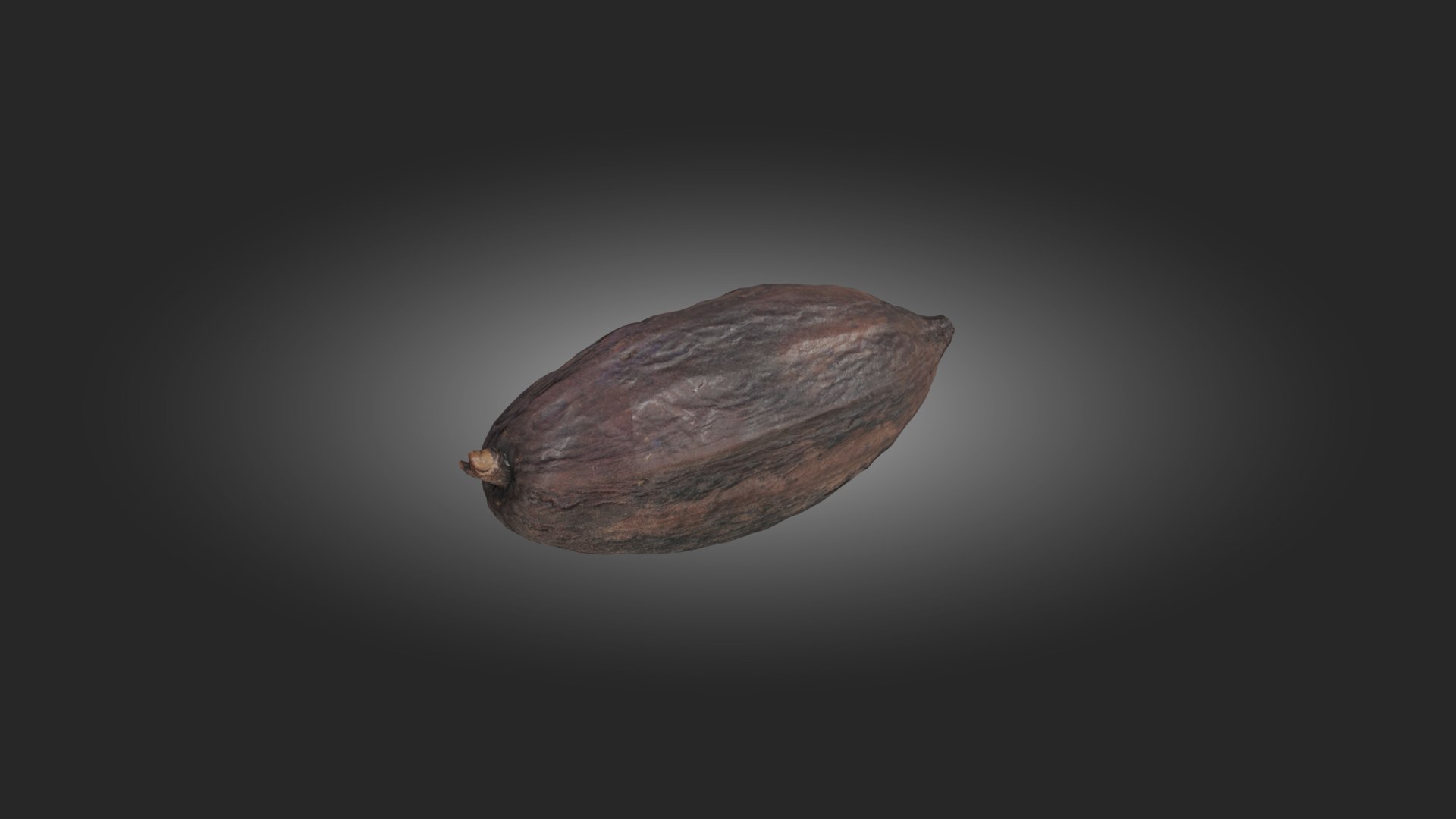 Cocoa Bean PBR 3D Model 3D Model - TurboSquid 2316998