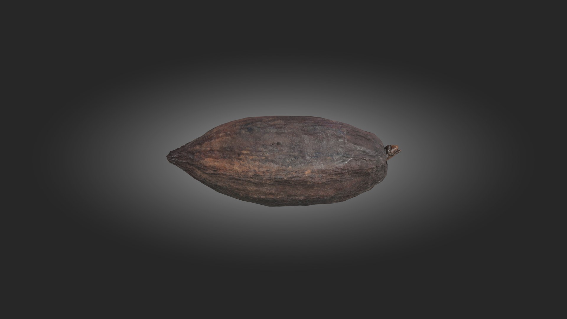 Cocoa Bean PBR 3D Model 3D Model - TurboSquid 2316998