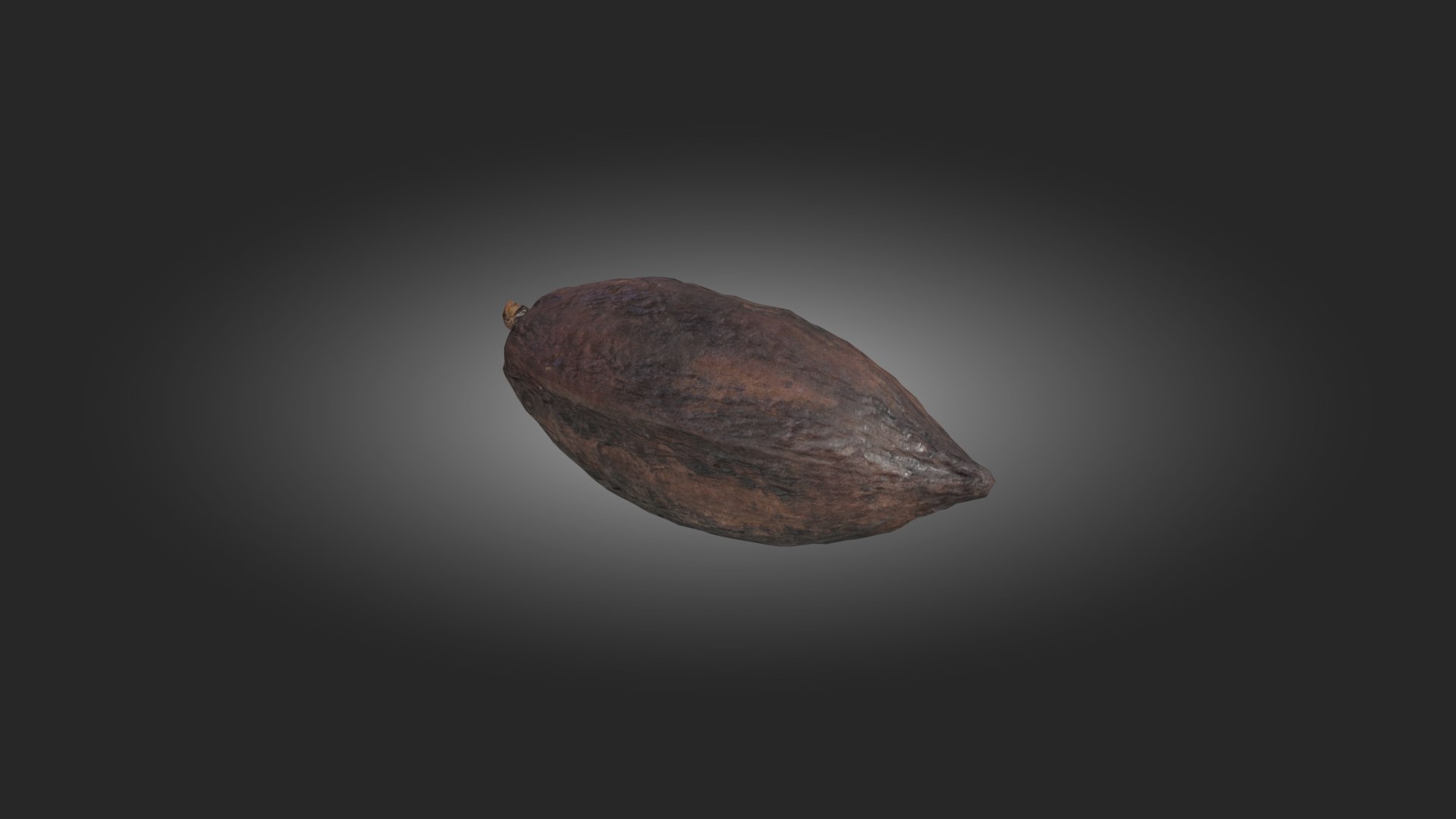 Cocoa Bean PBR 3D Model 3D Model - TurboSquid 2316998