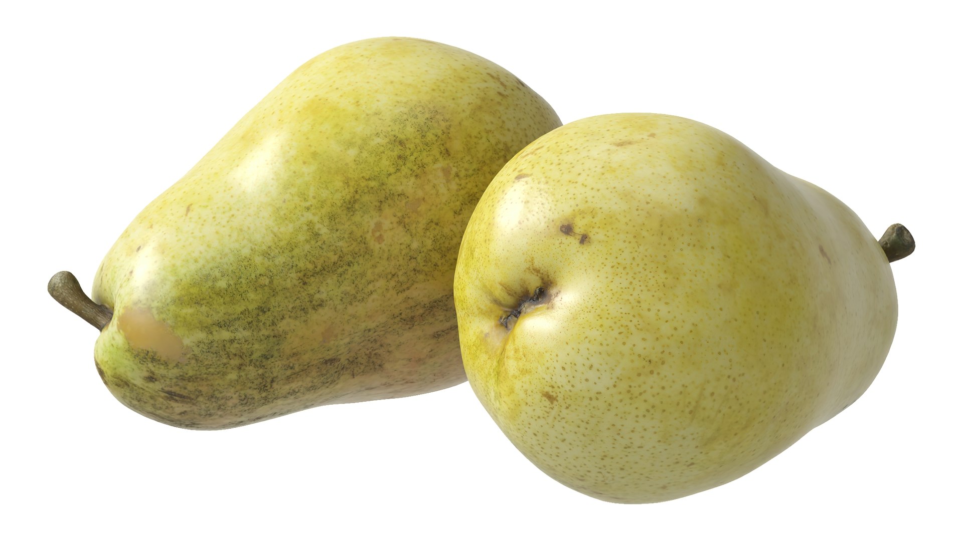 Kieffer Pear 3D - TurboSquid 1960409