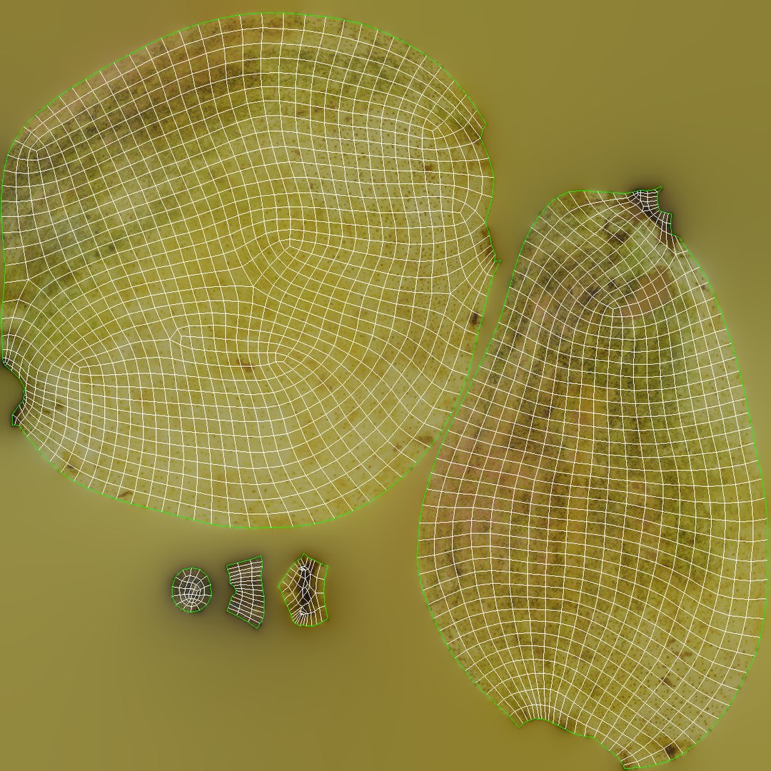 Kieffer Pear 3D - TurboSquid 1960409