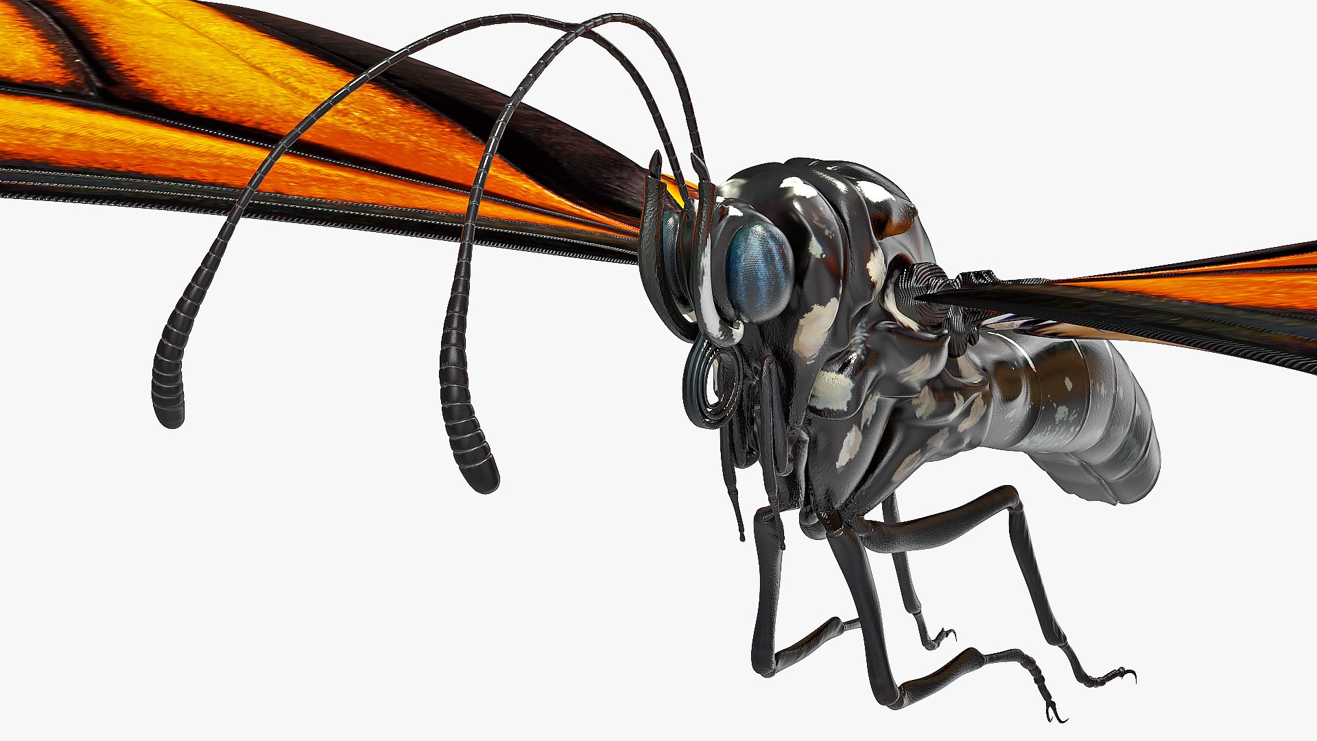 Flight monarch butterfly flying 3D - TurboSquid 1566653