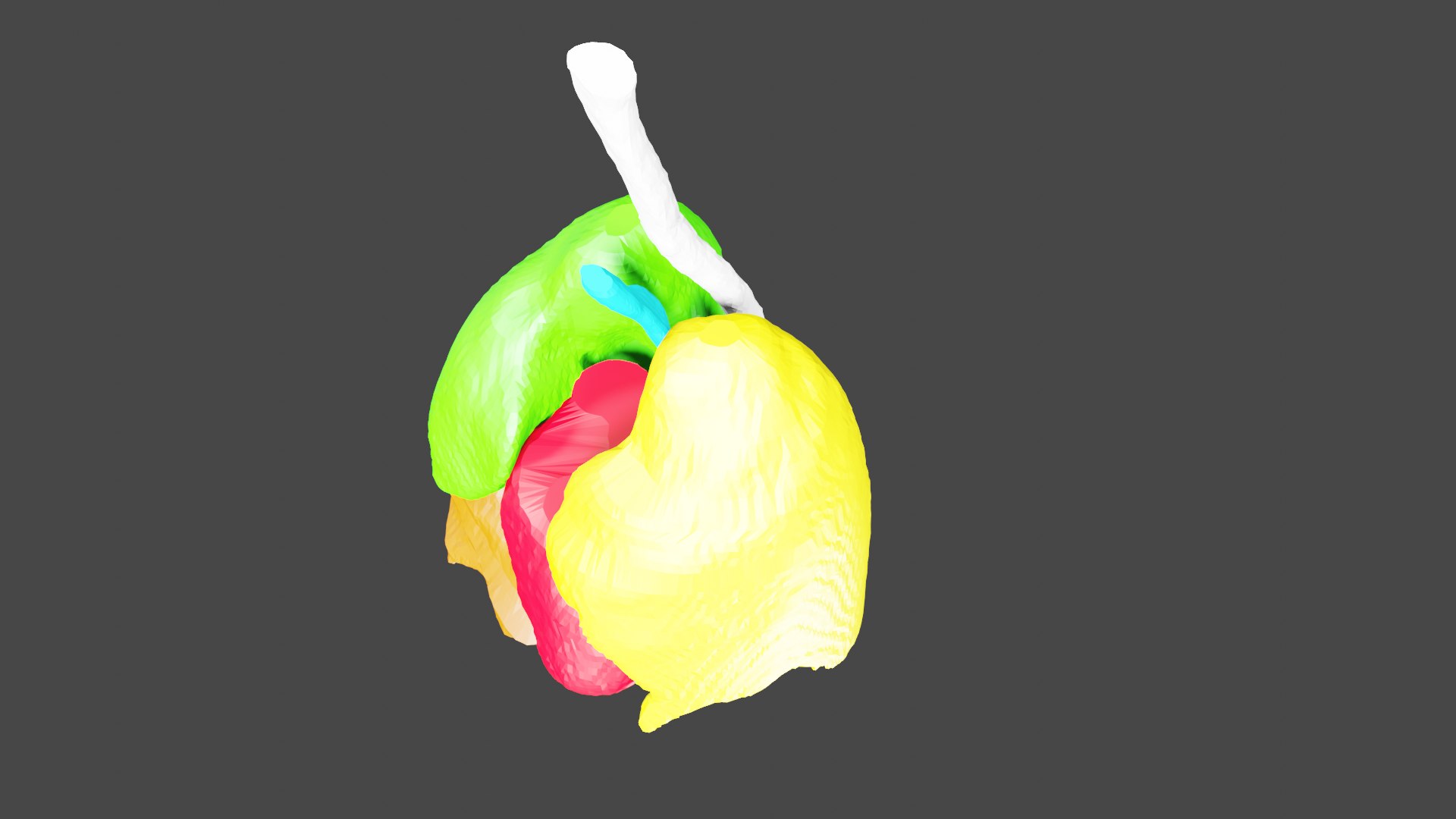 3D Model Medically Accurate Organs Including Lungs - Heart - Liver ...