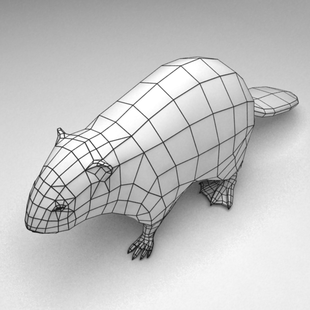 3d Model Rigged Beaver