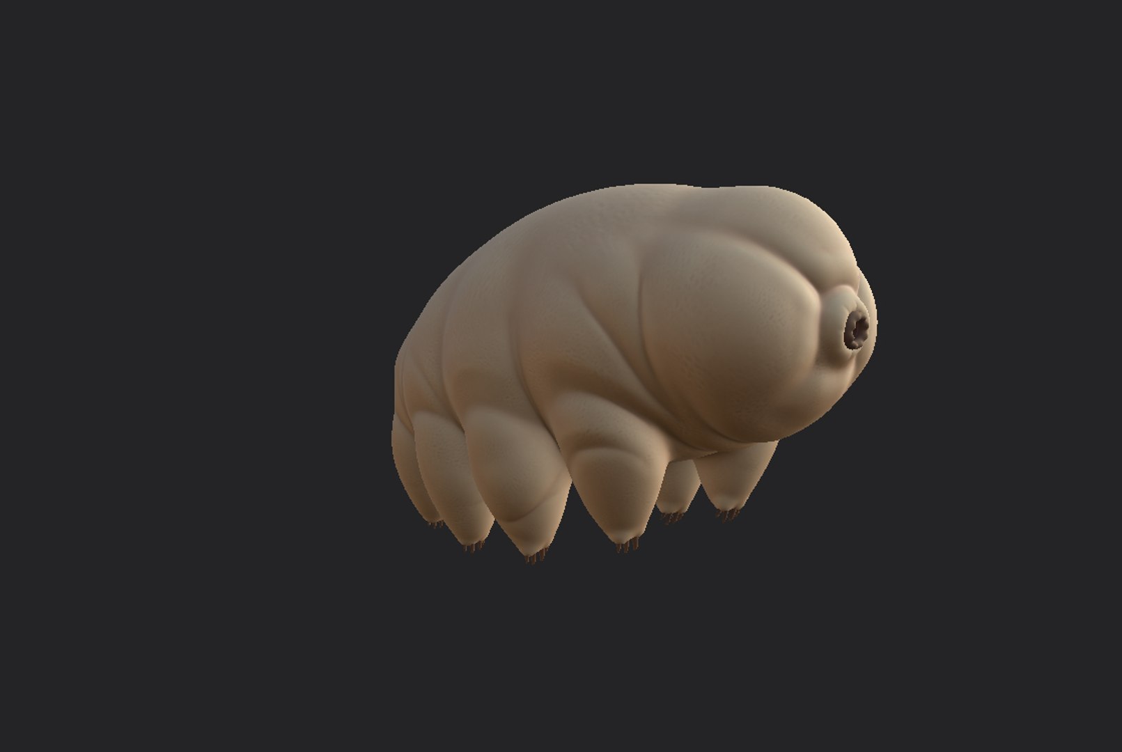 Tardigrade Character Cartoon 3D Model - TurboSquid 1497639