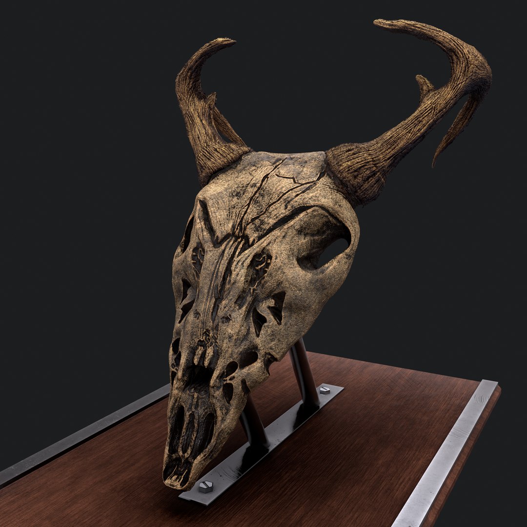 3D Ram Skull Mask Decor - TurboSquid 1406589