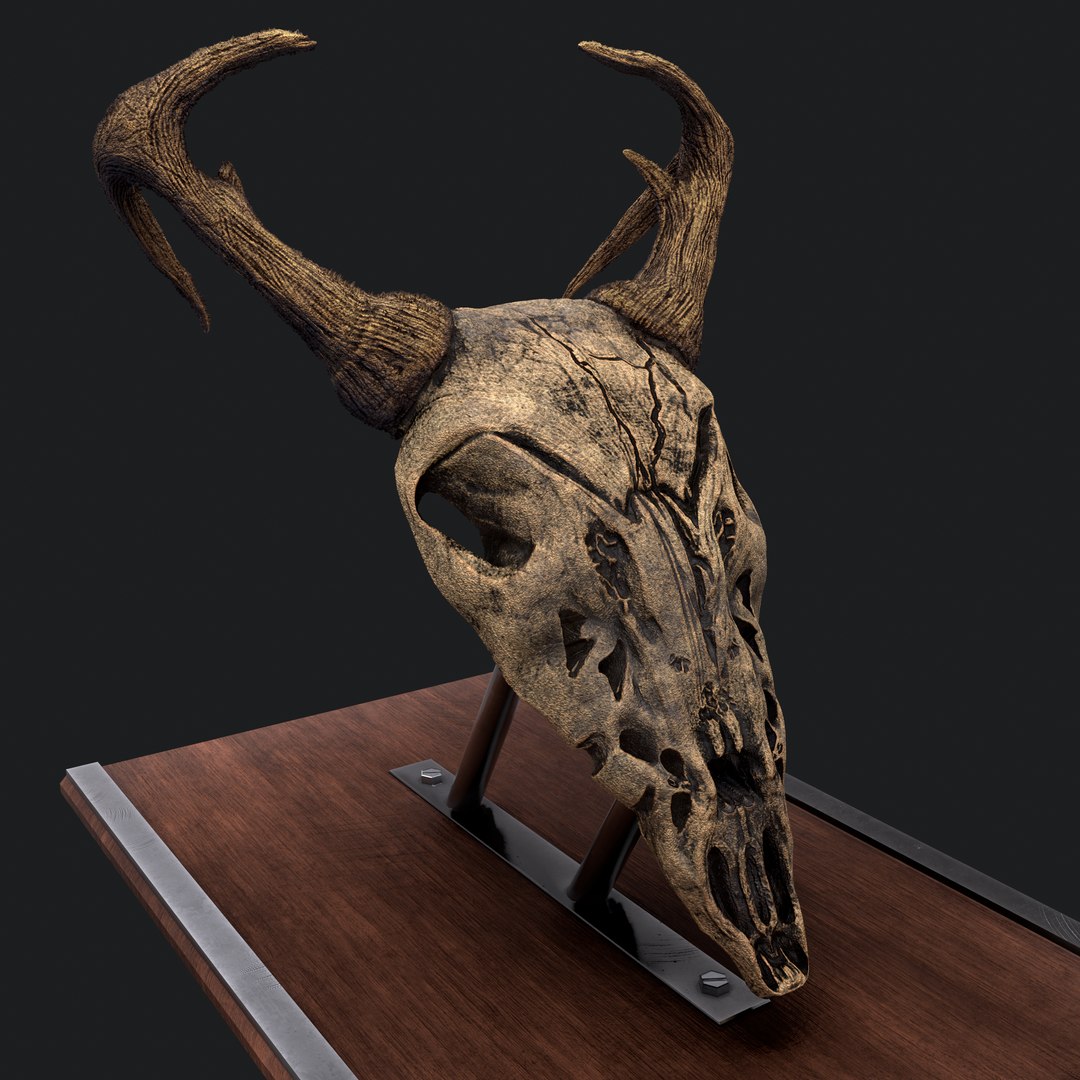 3D Ram Skull Mask Decor - TurboSquid 1406589