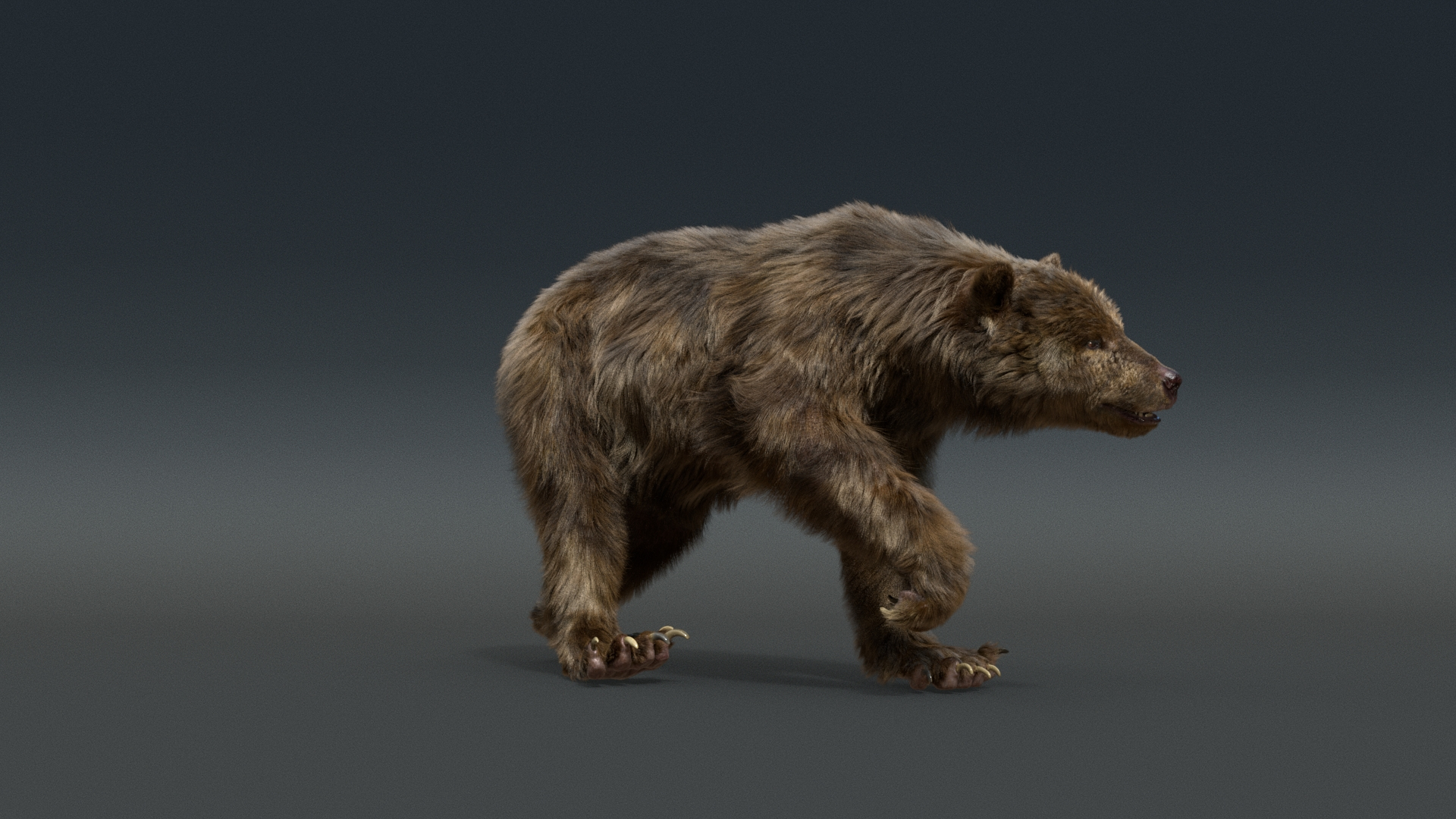 3D Grizzly Bear Animated Houdini - TurboSquid 2143792