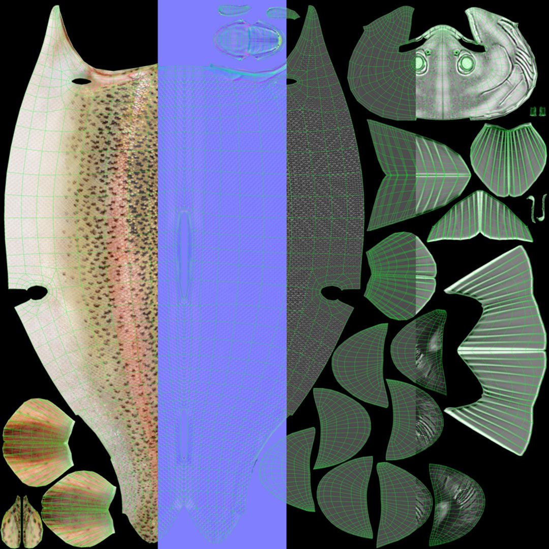 Trout Animated 3D Model - TurboSquid 2355475