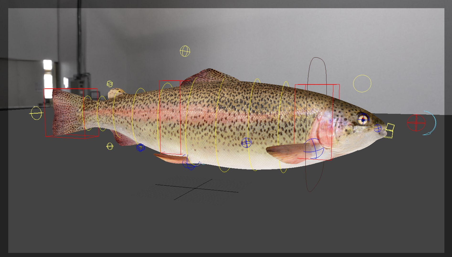 Trout Animated 3D Model - TurboSquid 2355475