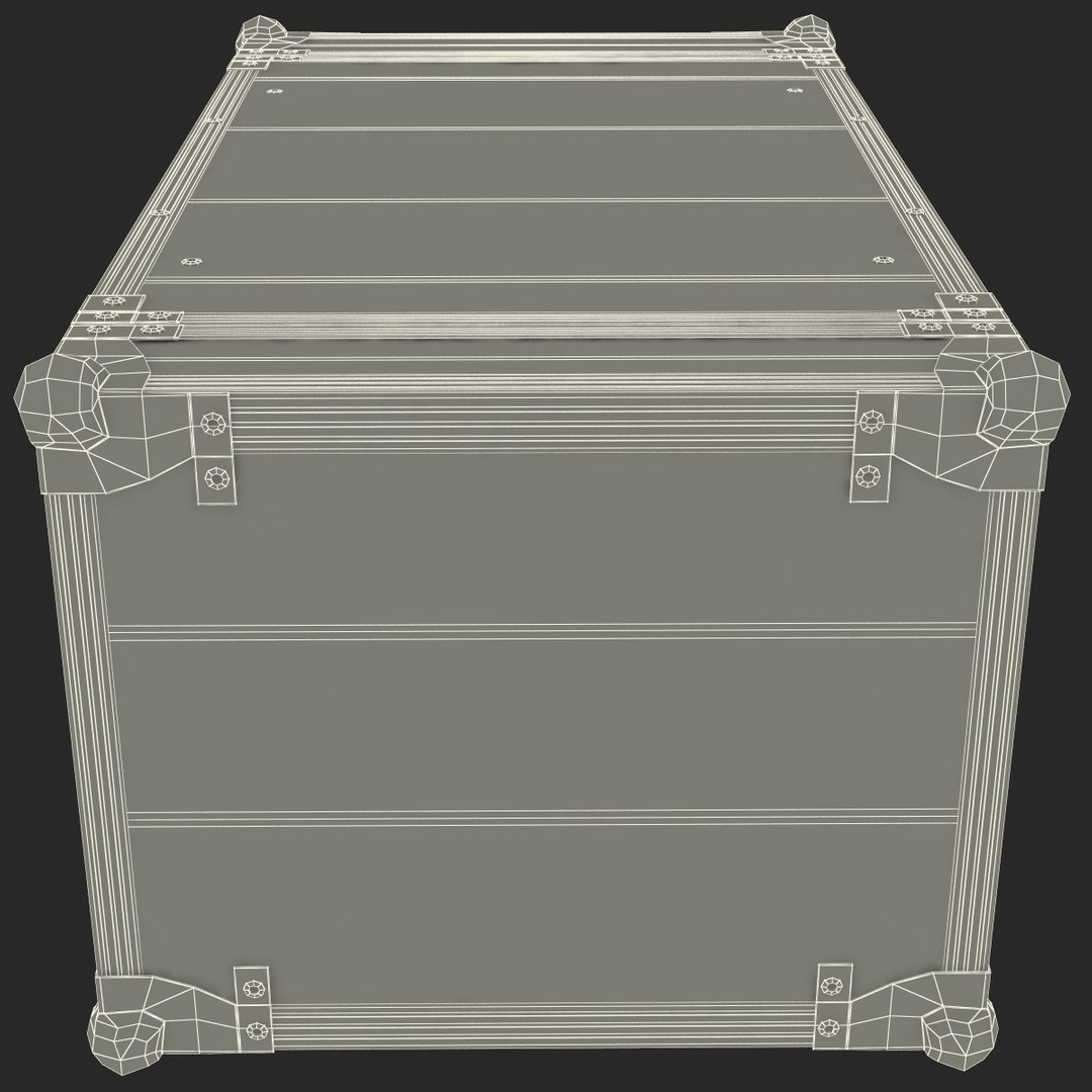 3d Model Flight Case