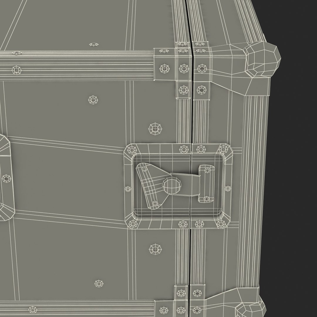 3d Model Flight Case
