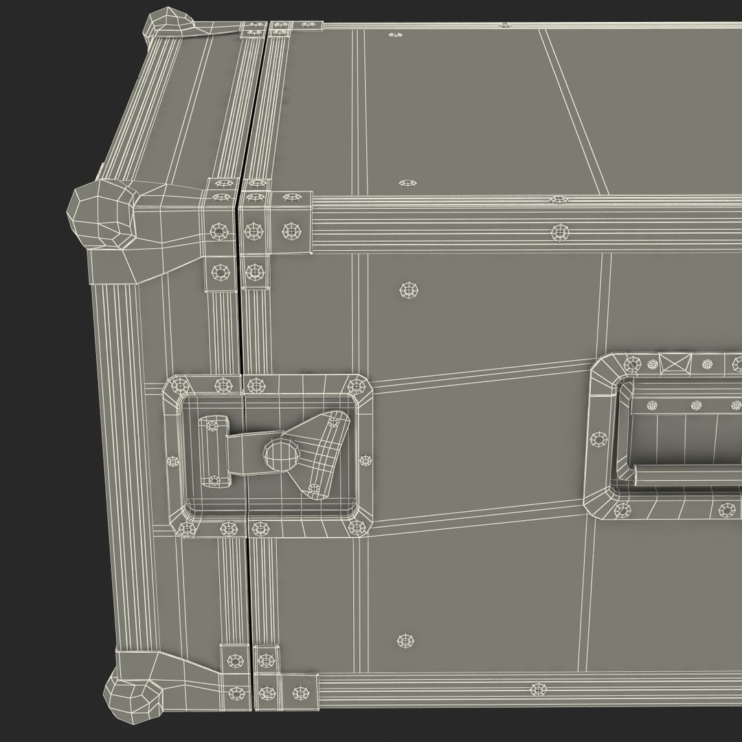 3d Model Flight Case