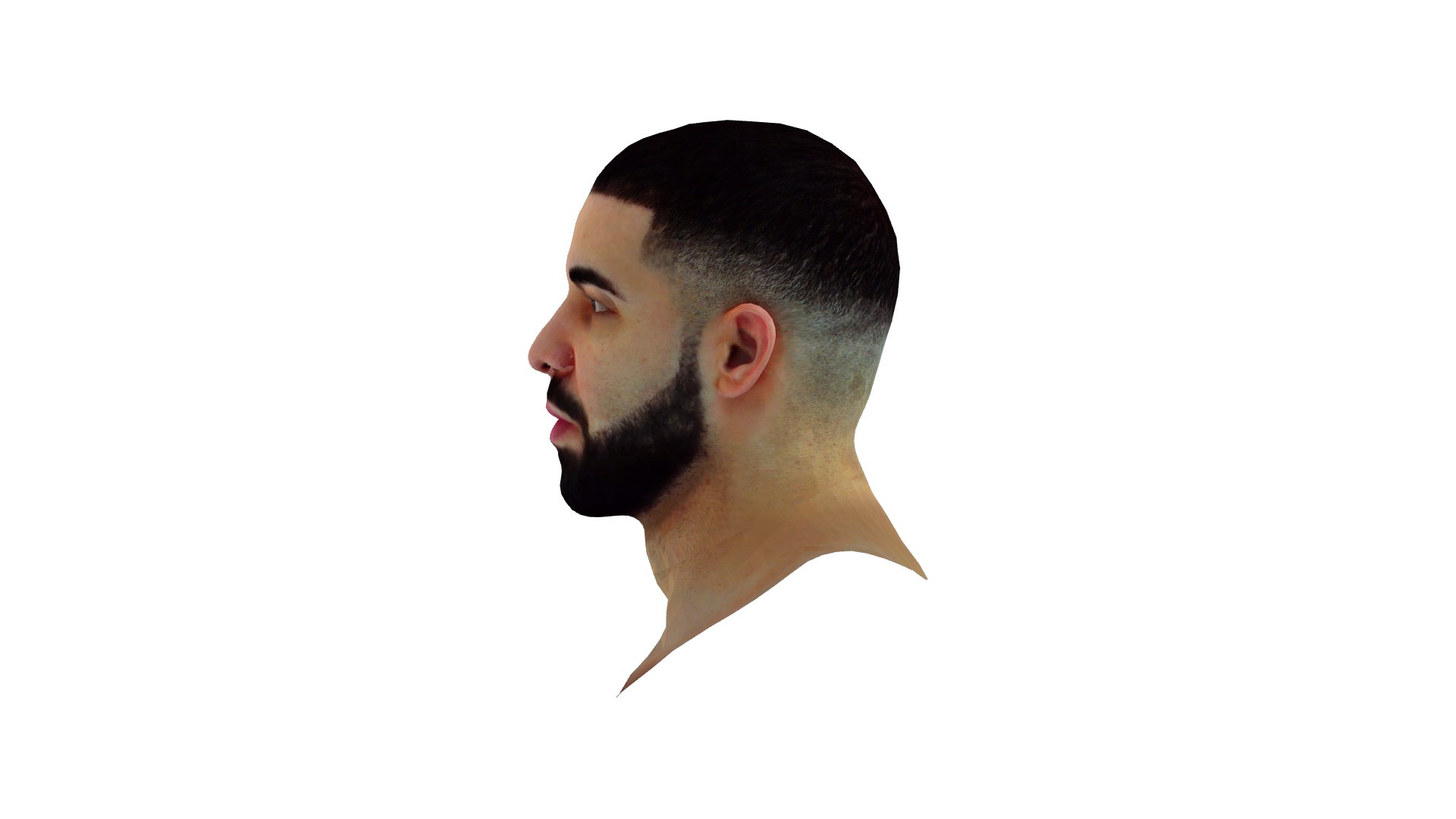 Drake - Bust 3D Model - TurboSquid 2123389