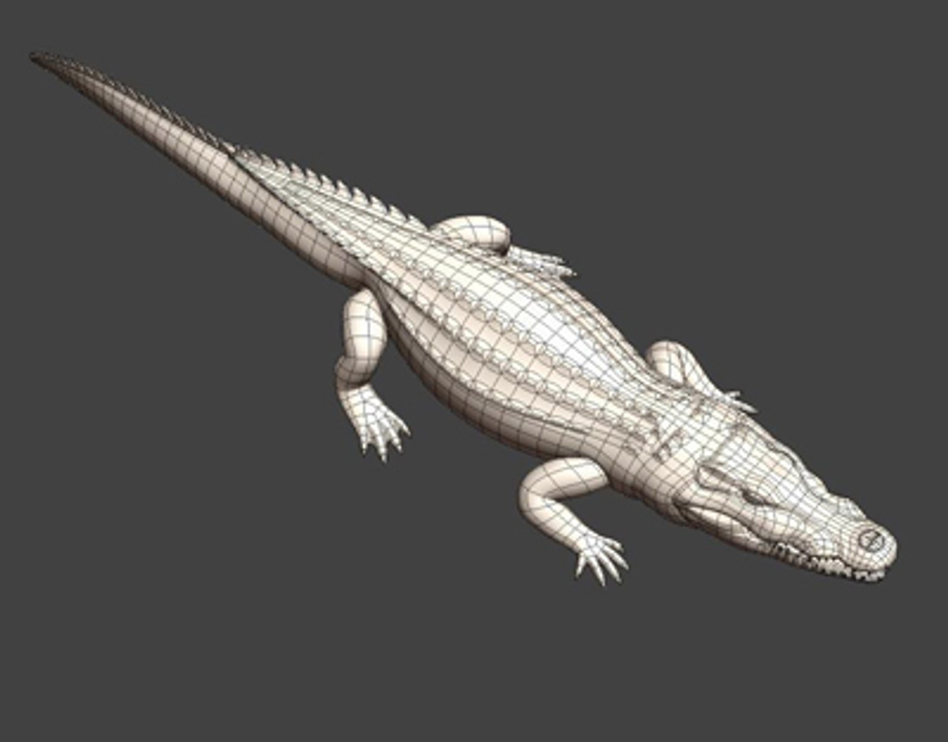 Crocodile 3d Model