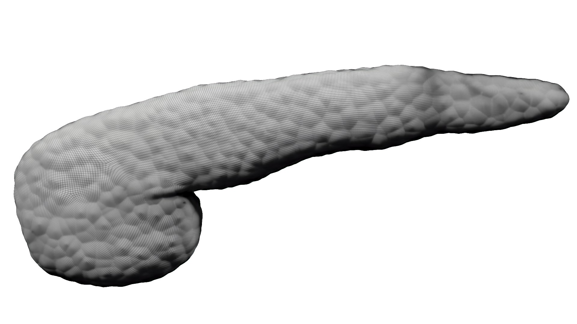 3D Pancreas Model - TurboSquid 1913566