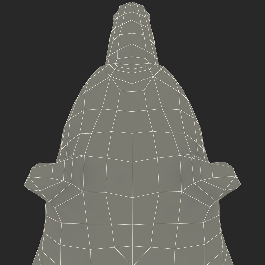 Bear Animal Wildlife Max