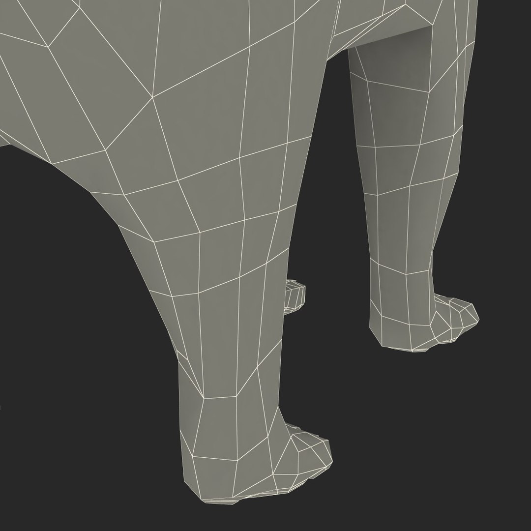 Bear Animal Wildlife Max