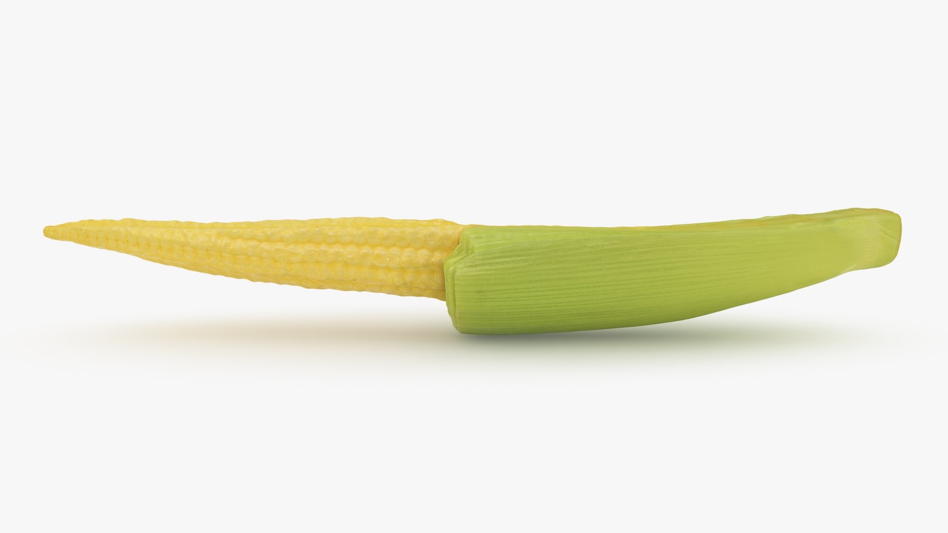 3D Half of Baby Corn model - TurboSquid 2157003