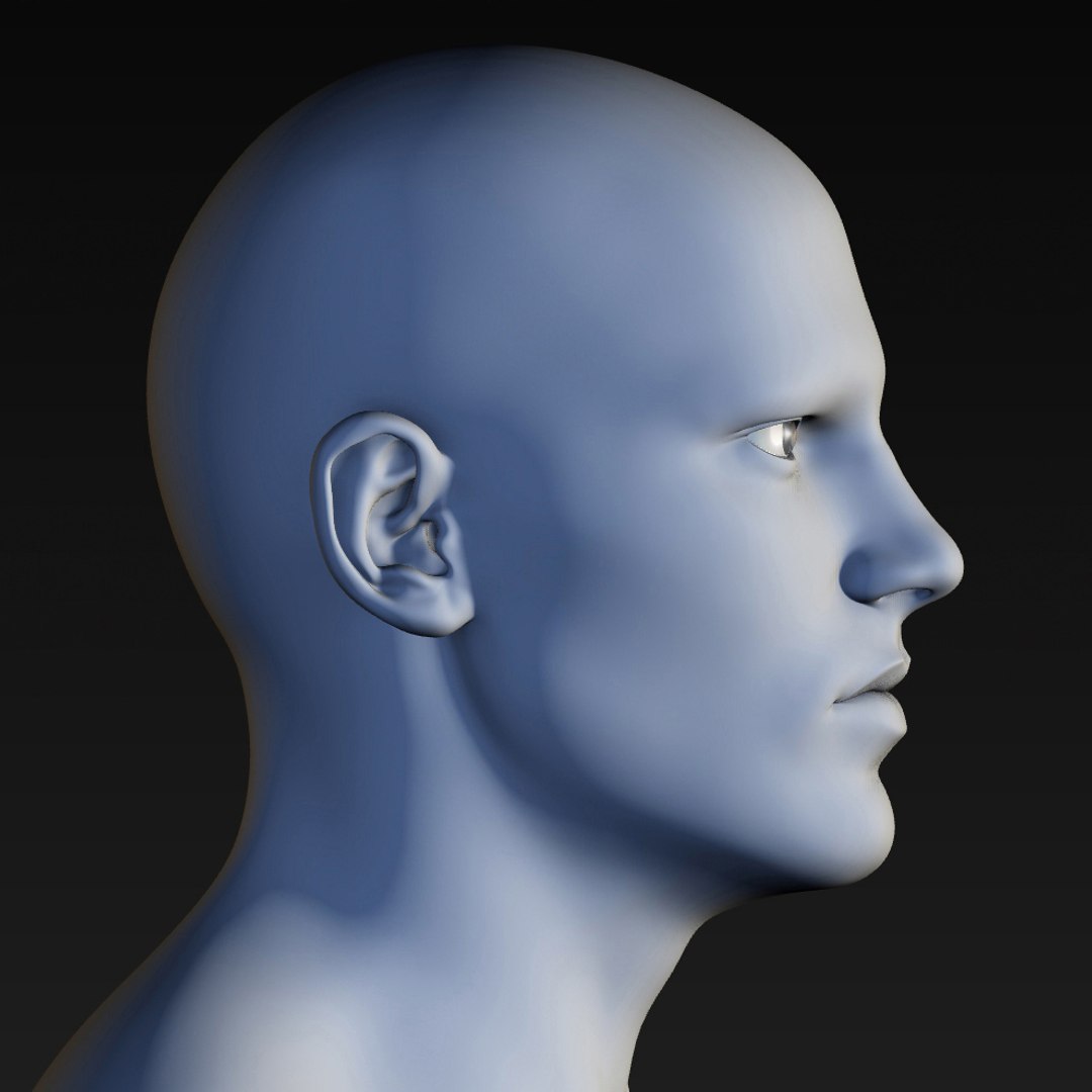 realistic male body character max