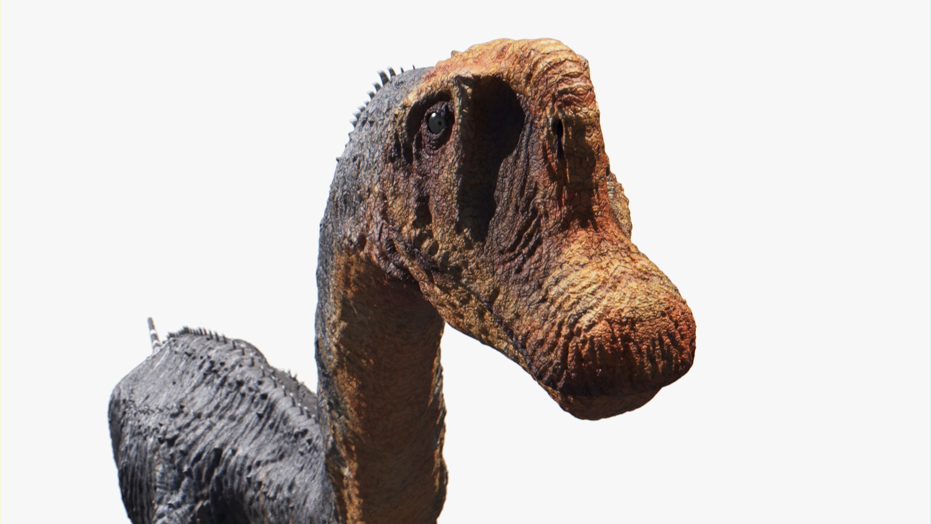 Obj Brachiosaurus Brachiosaur