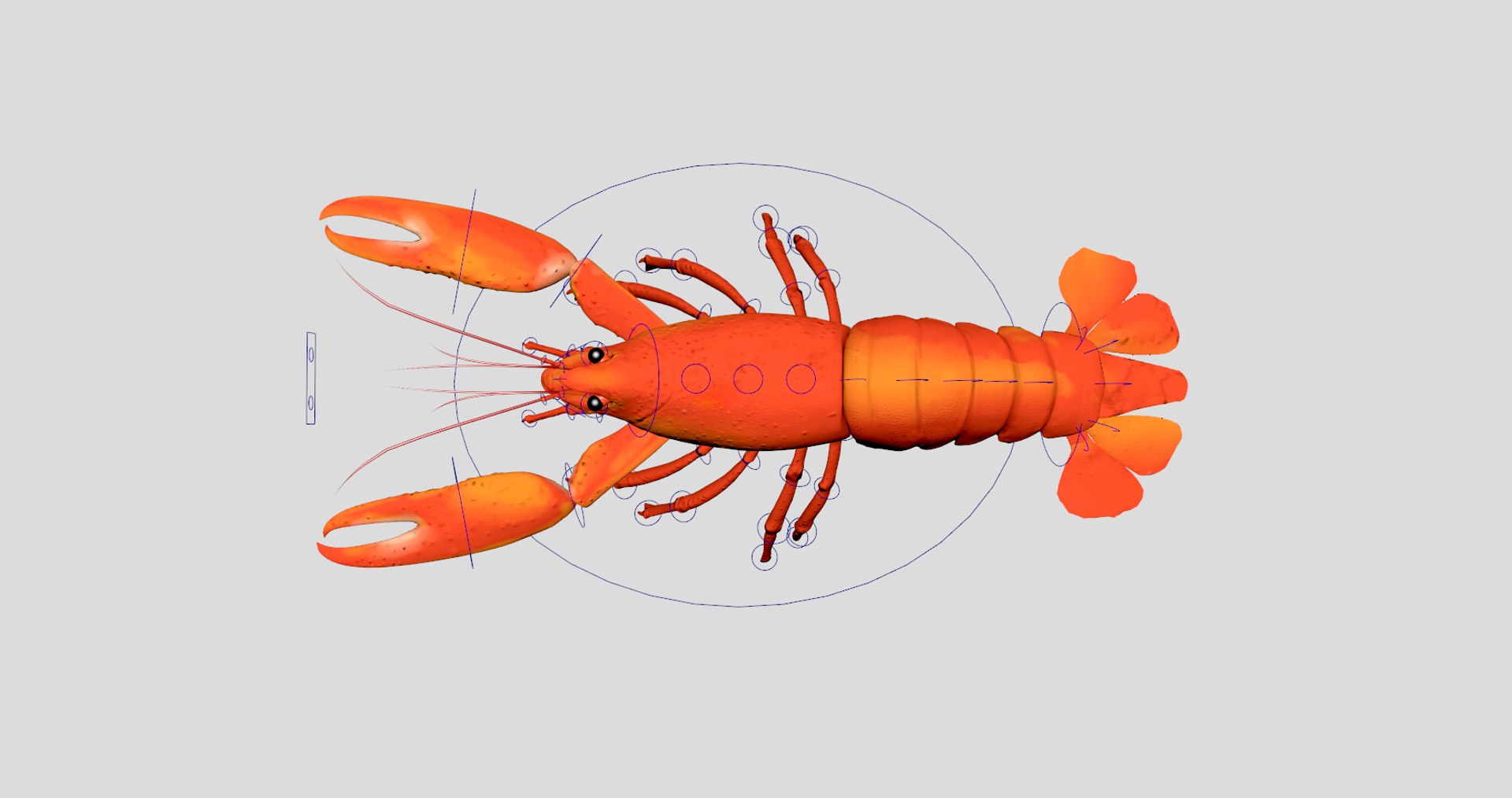 Crayfish Model - TurboSquid 1219282
