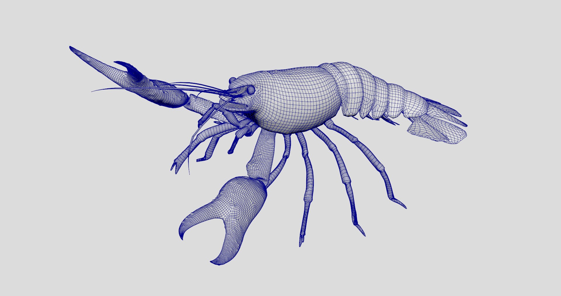 Crayfish Model - TurboSquid 1219282