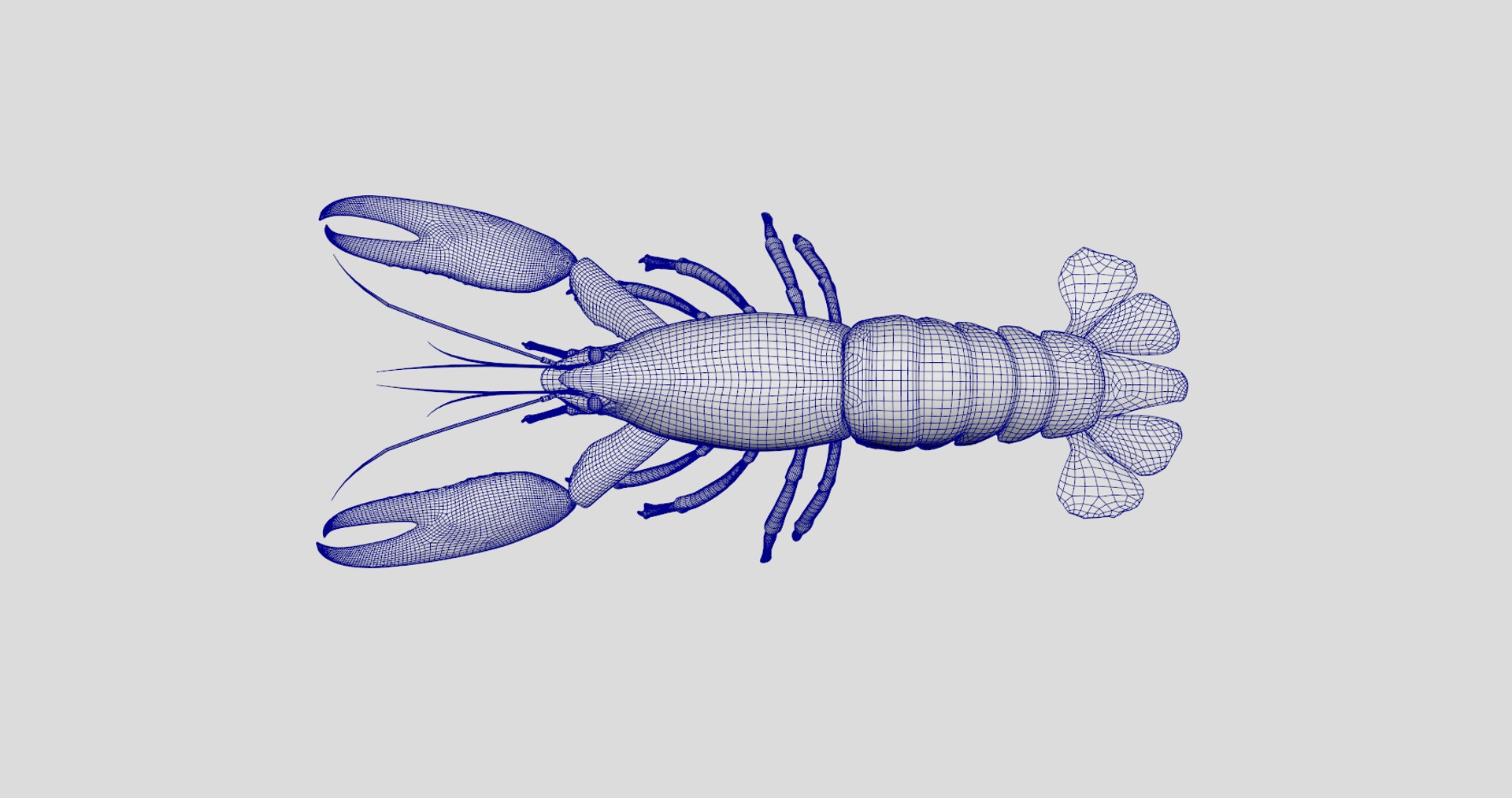 Crayfish Model - TurboSquid 1219282