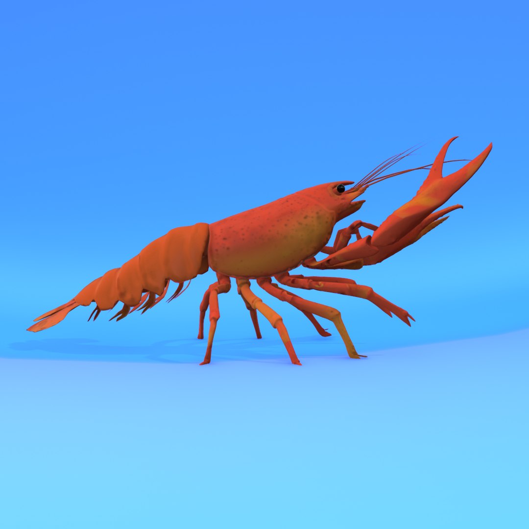 Crayfish Model - TurboSquid 1219282