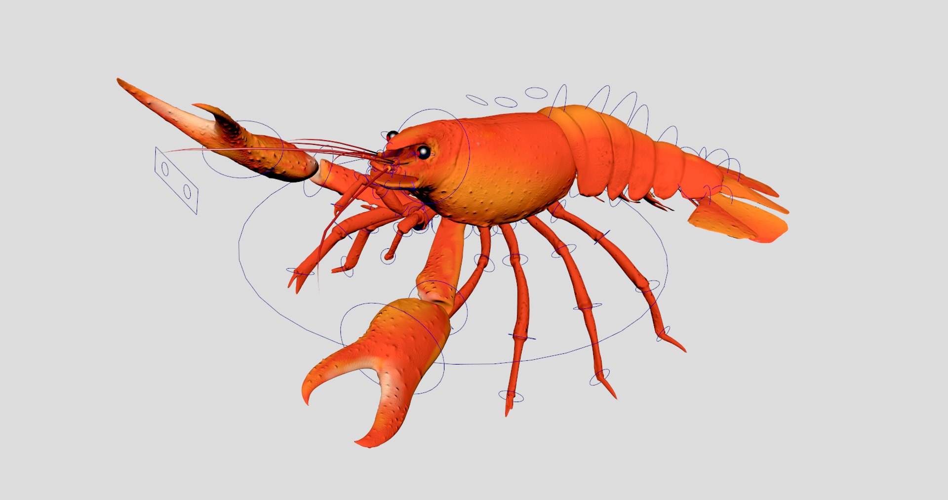 Crayfish Model - TurboSquid 1219282