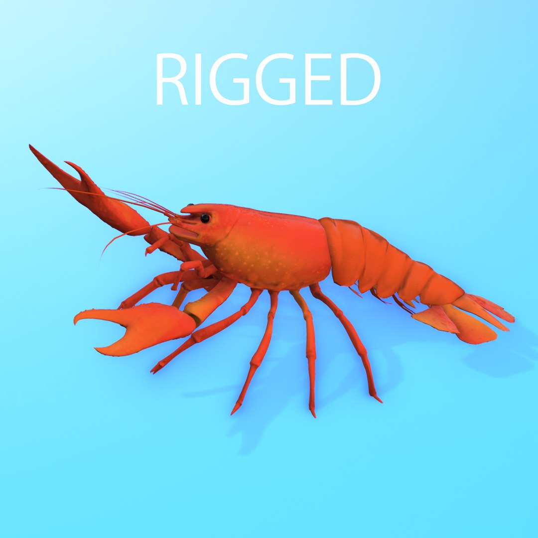 Crayfish Model - TurboSquid 1219282
