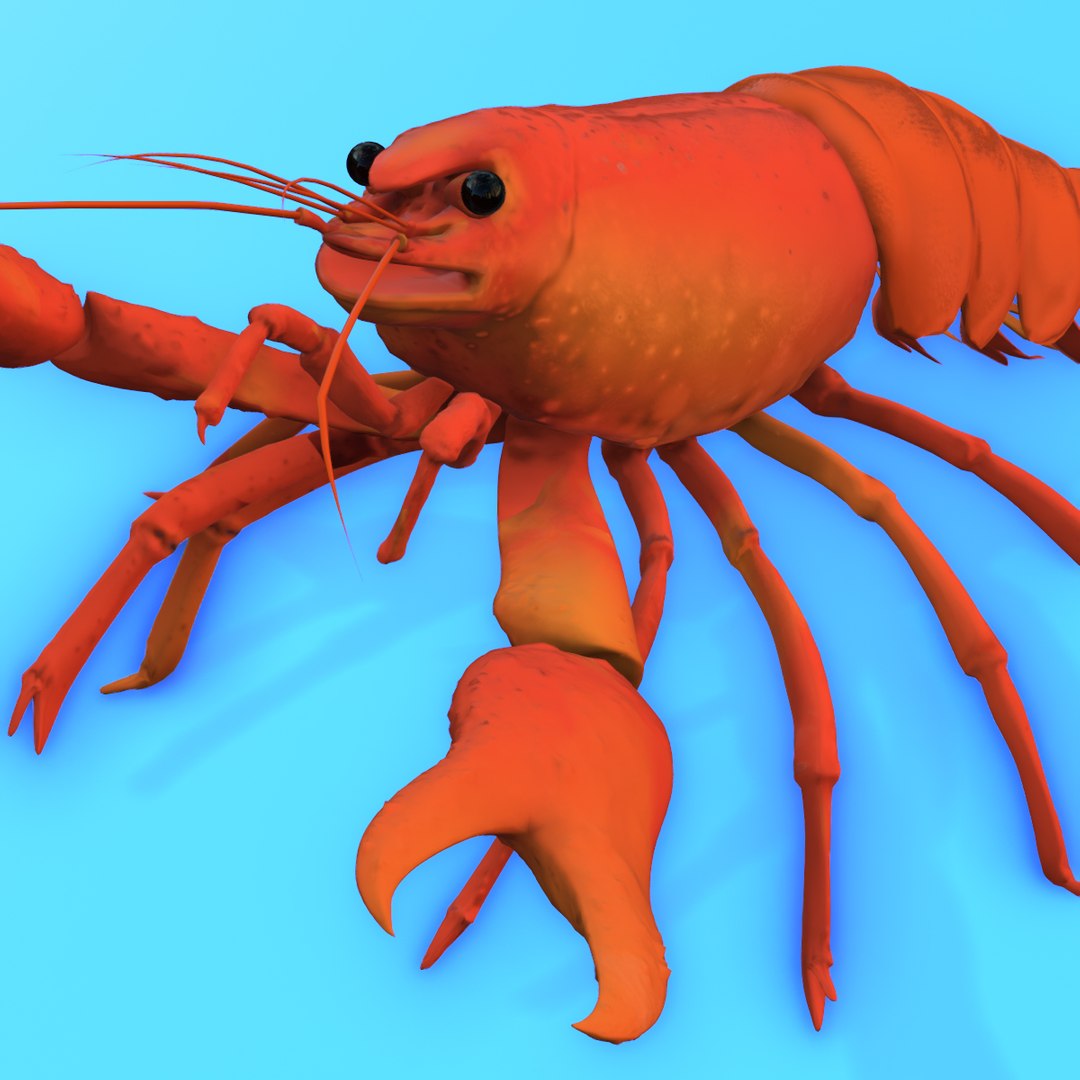 Crayfish Model - TurboSquid 1219282