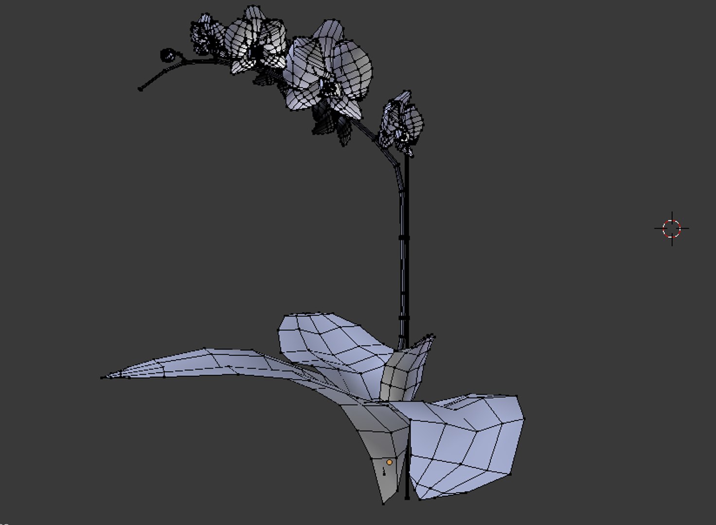 Beautiful Orchid Model - TurboSquid 1445707