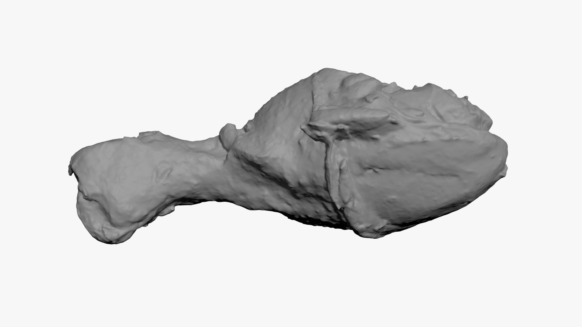 Smoked Chicken Leg For 3D Print 3D Model - TurboSquid 2300794