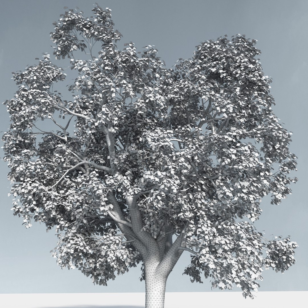 Trees Model - TurboSquid 1349216